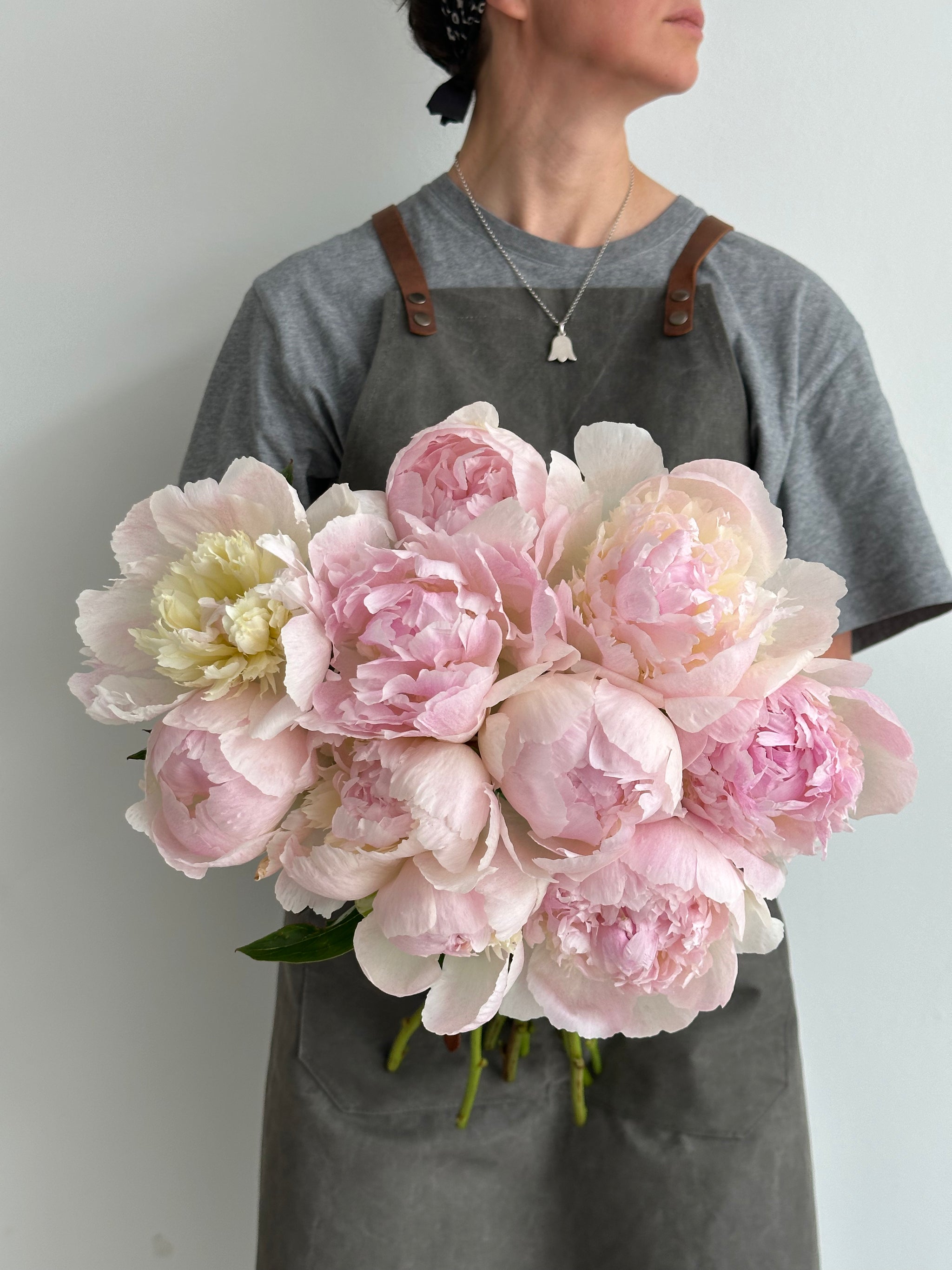 Peony Chiffon Parfait